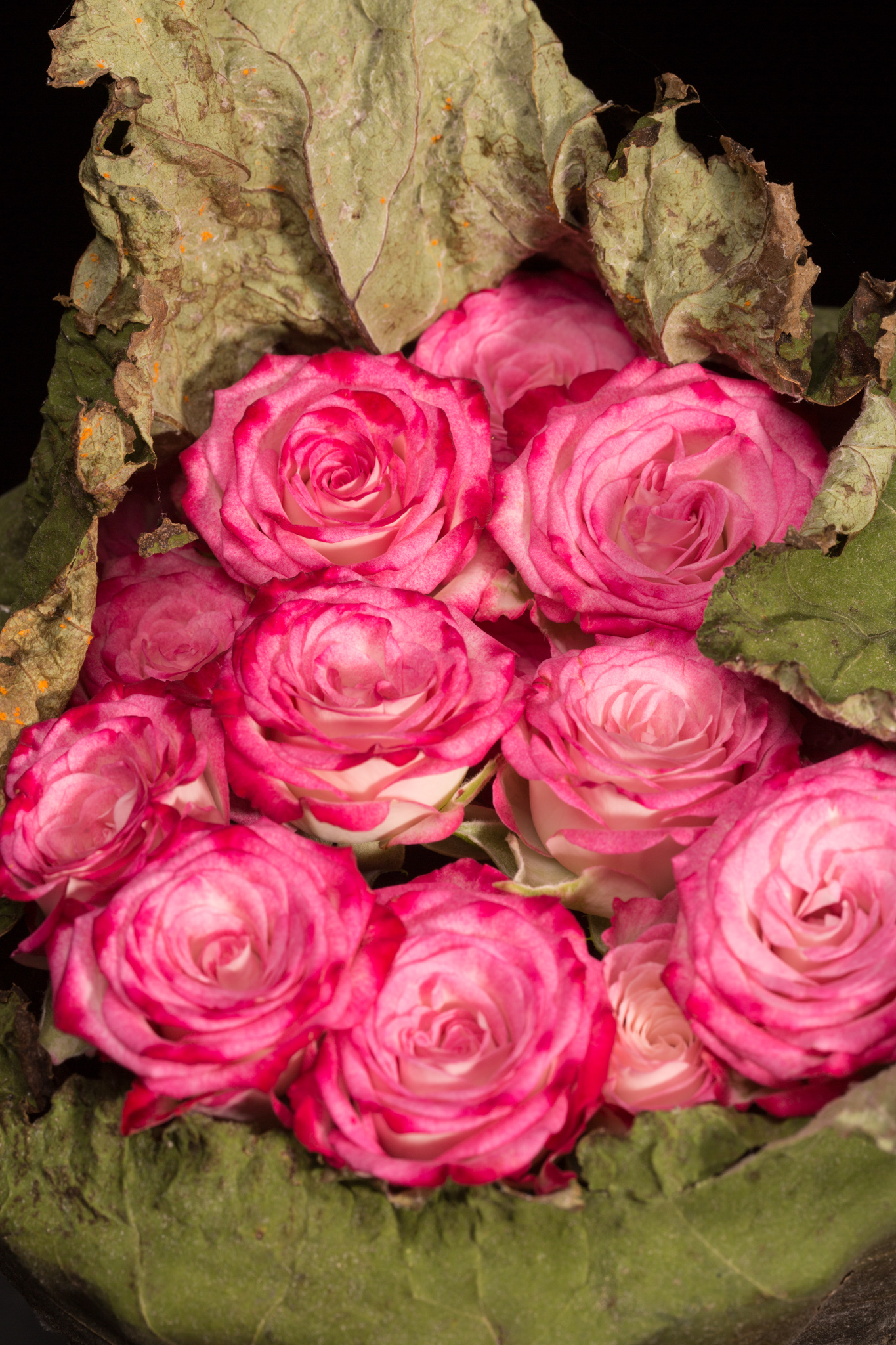 Bijzonder bloemwerk met rozen | Flower Factor