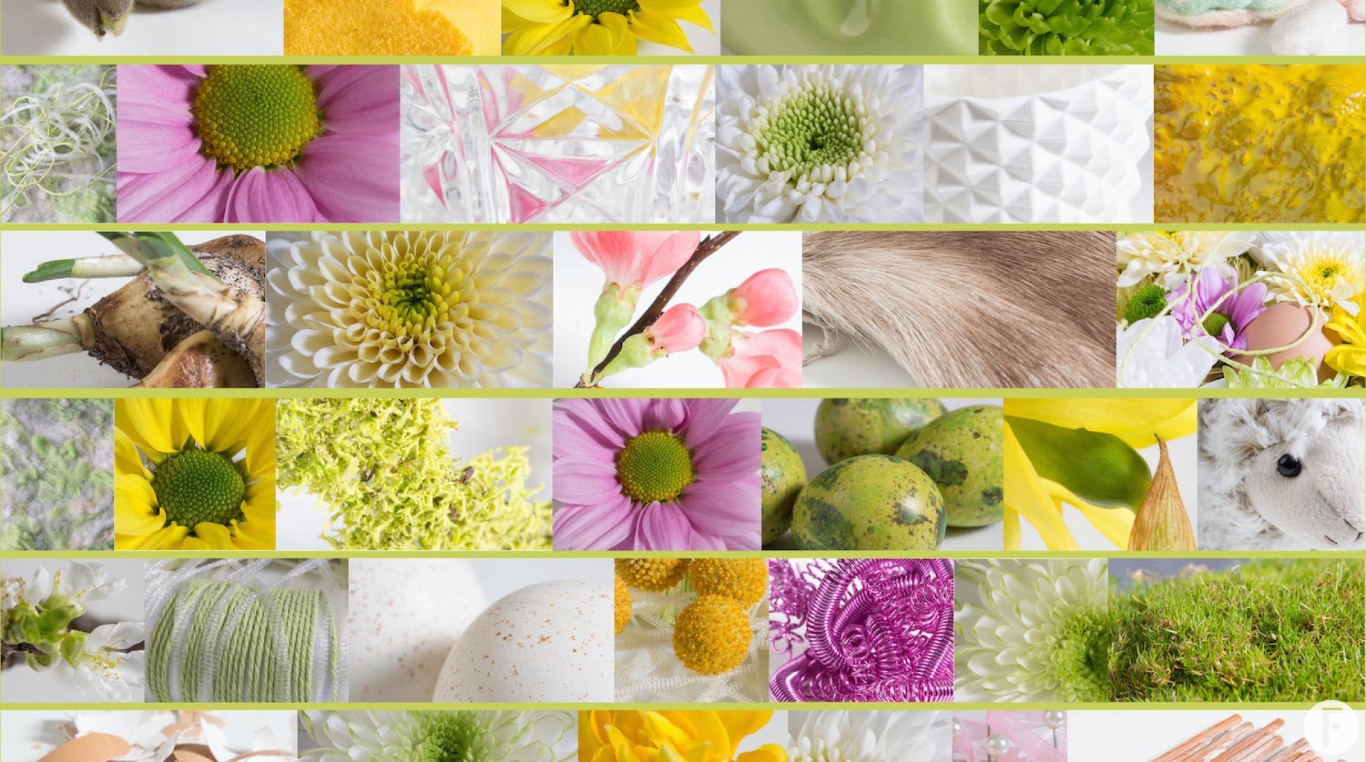 Zentoo moodboard Lente | Flower Factor